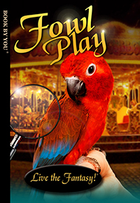 Personalized Childrens Book | Preview | Fowl Play